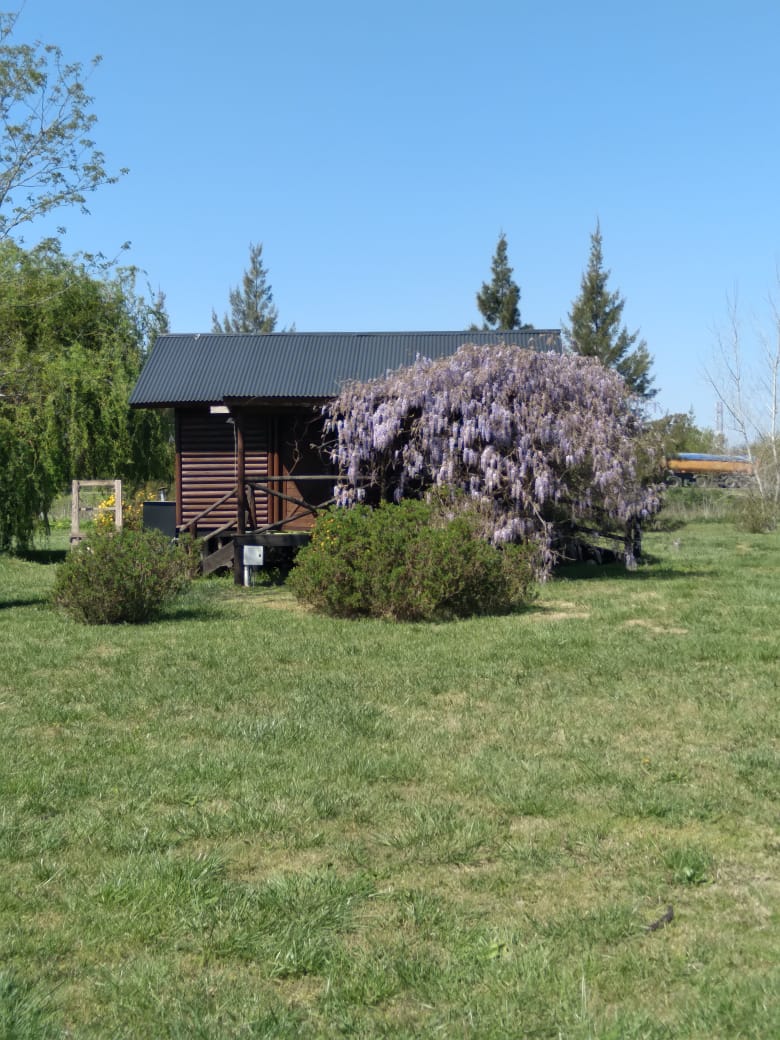 UNICO COMPLEJO DE CABAÑAS SOBRE RUTA EN 1 HECTAREA DE TERRENO ...